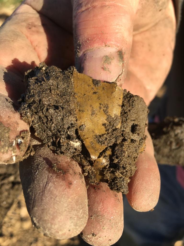 Big Stumpy (Seth’s Pond) – Restoring, resurrecting and conserving ...