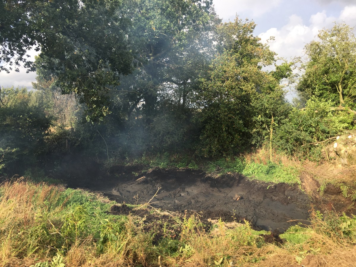 Harper’s Pit – Restoring, resurrecting and conserving Norfolk's ponds.